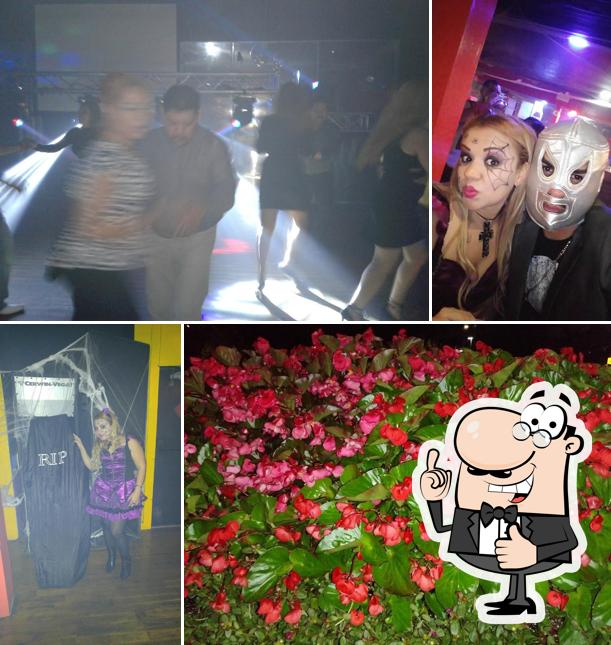 Studio 51 in Chicago - Restaurant reviews