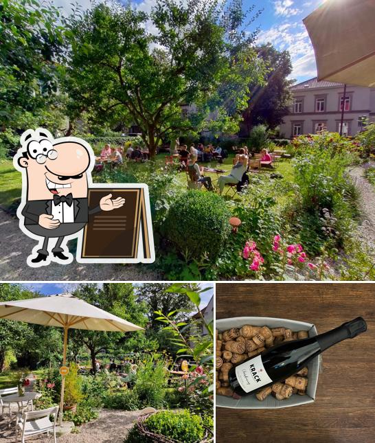 trink!ich Sommergarten pub & bar, Göttingen - Restaurant reviews