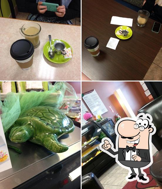 Turtle Leaf Cafe in Horseheads - Restaurant reviews