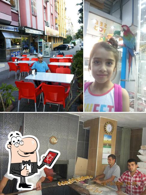 Titiz Kebap Ve Lahmacun, Adana, Damar Arıkoğlu Bulv. Uğur Sitesi D-1 ...