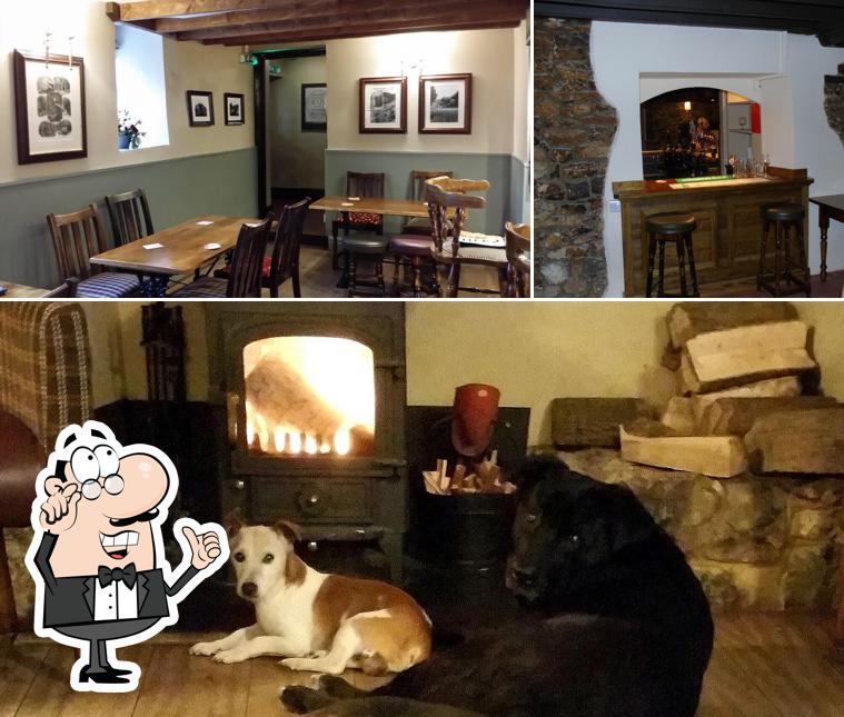 The Kings Head, Cheddar - Restaurant menu, prices and reviews