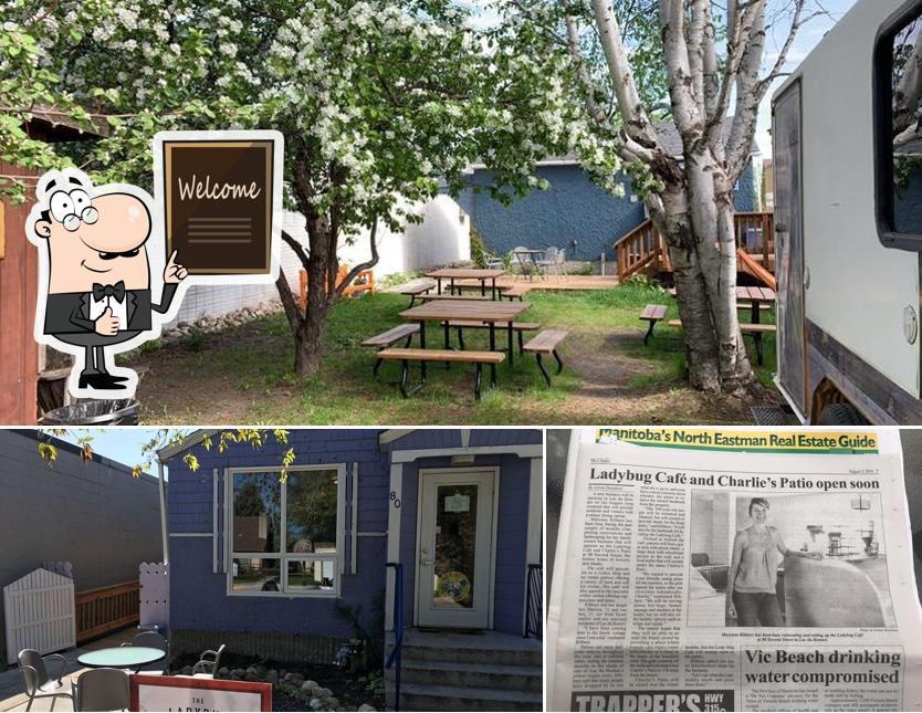 The Ladybug Cafe, Lac du Bonnet - Restaurant menu, prices and reviews