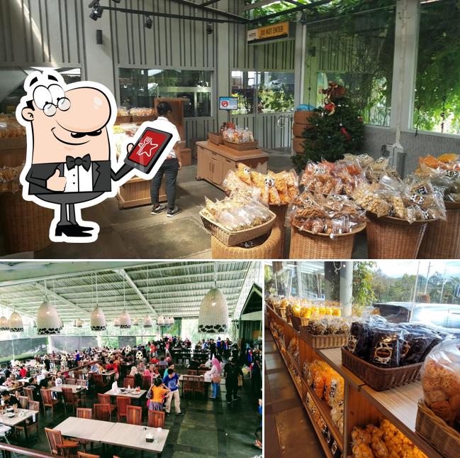 Cimory On The Valley restaurant, Randugunting, Jl. Soekarno Hatta No.KM ...