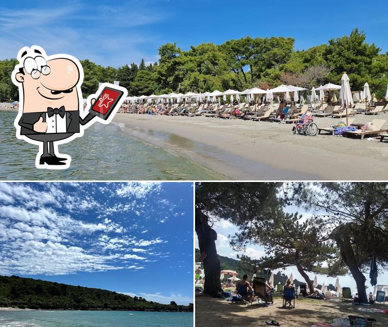 Plavi Horizonti Restaurant, Mrčevac - Restaurant menu, prices and reviews