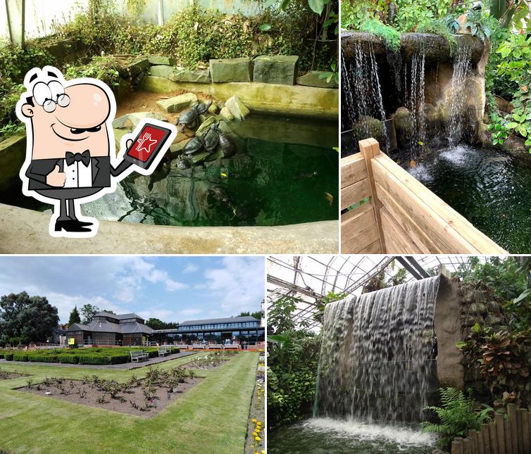 Tropical World in Leeds - Restaurant reviews