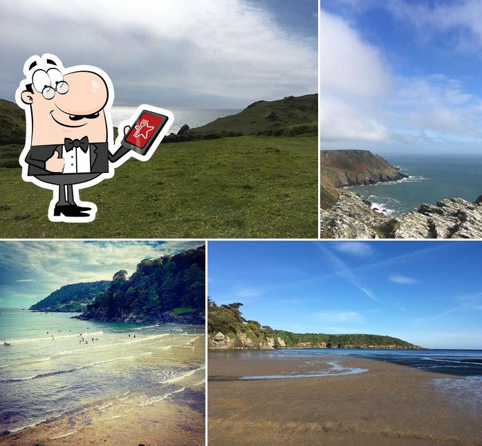 The Winking Prawn in Salcombe - Restaurant menu and reviews