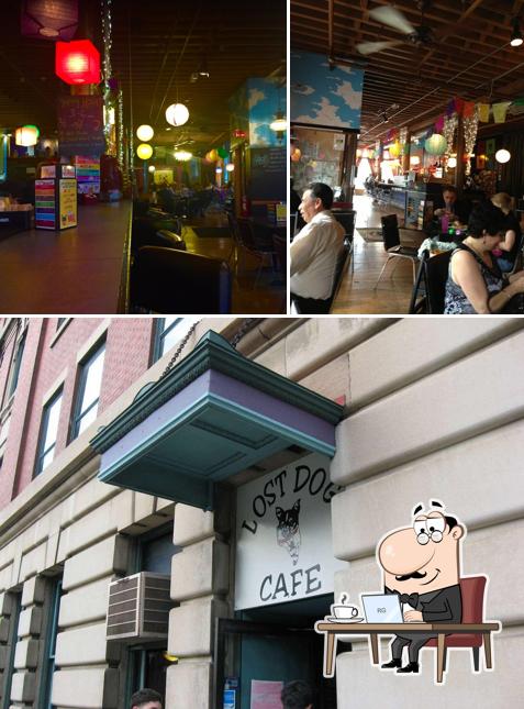 Lost Dog Cafe, Binghamton - Restaurant menu, prices and reviews
