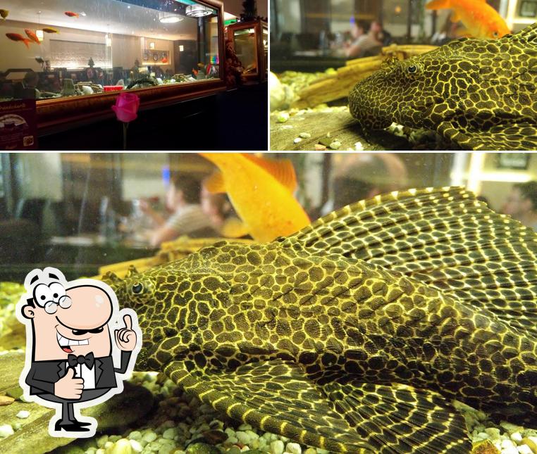 Mengu Buffet Alsdorf, Alsdorf - Speisekarte, Preise und Bewertungen