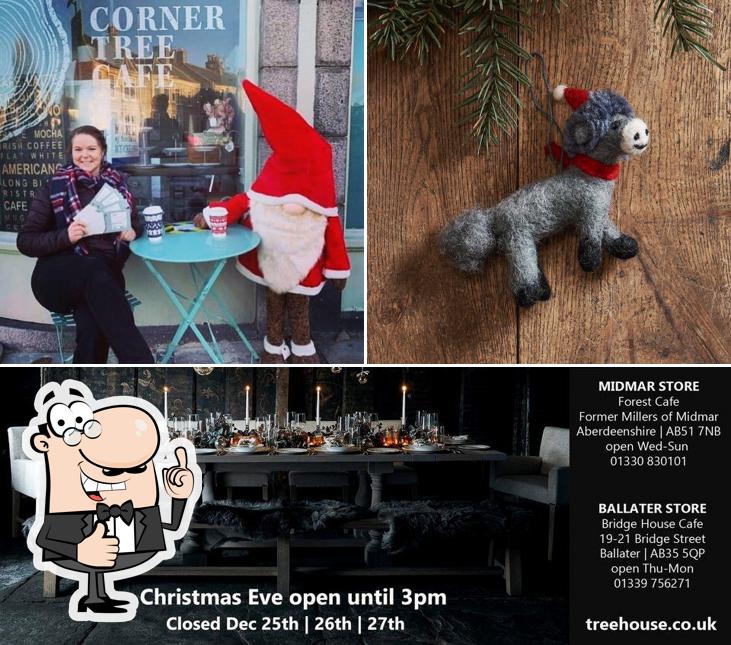 Cafe Treehouse, Midmar - Restaurant menu, prices and reviews