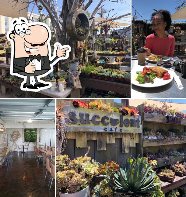 Succulent Cafe, Carlsbad - Restaurant menu, prices and reviews