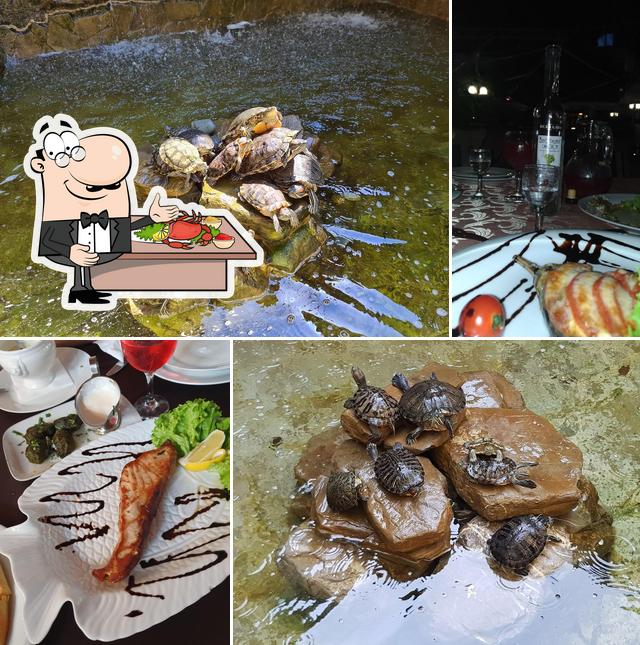 Zamok Dvin restaurants in Sochi, summer 2024 - Restaurant Guru