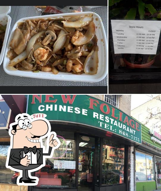 New Foliage in North Bergen - Restaurant menu and reviews