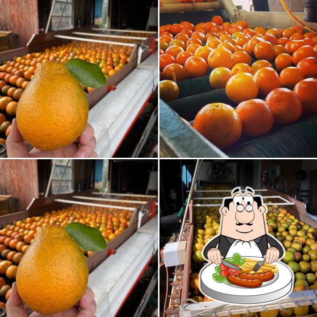The Citrus Place, Terra Ceia - Restaurant menu, prices and reviews
