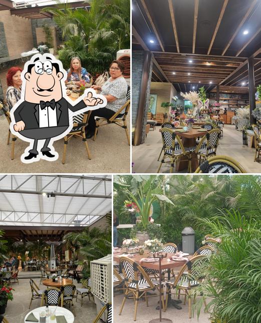EDÉN FLOR Y CAFÉ, Monterrey - Menú del restaurante, precios y reseñas