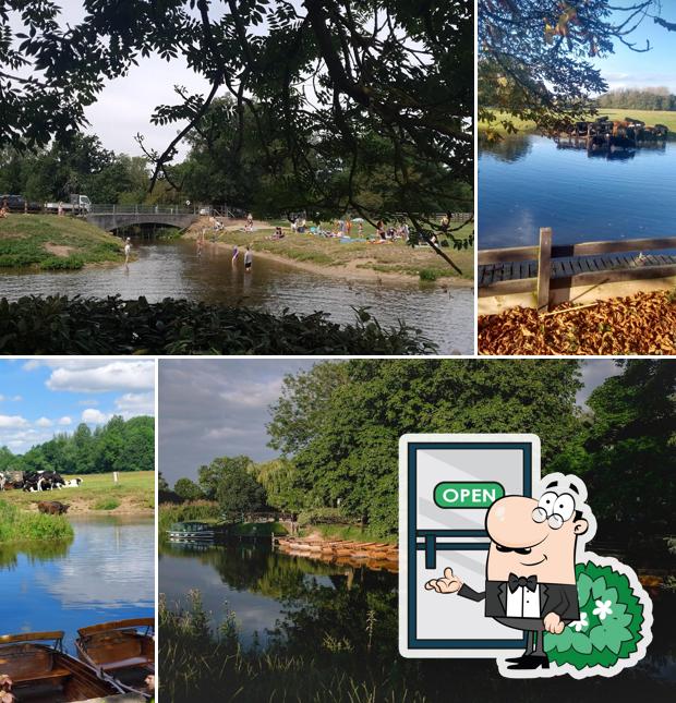 The Boatyard Dedham, Dedham Boathouse, Mill Ln in Colchester ...