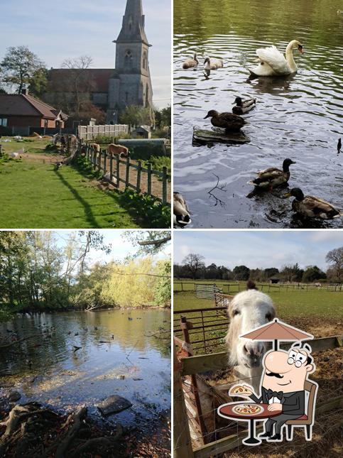 Mistley Place Park Tearooms, Manningtree - Restaurant menu, prices and ...