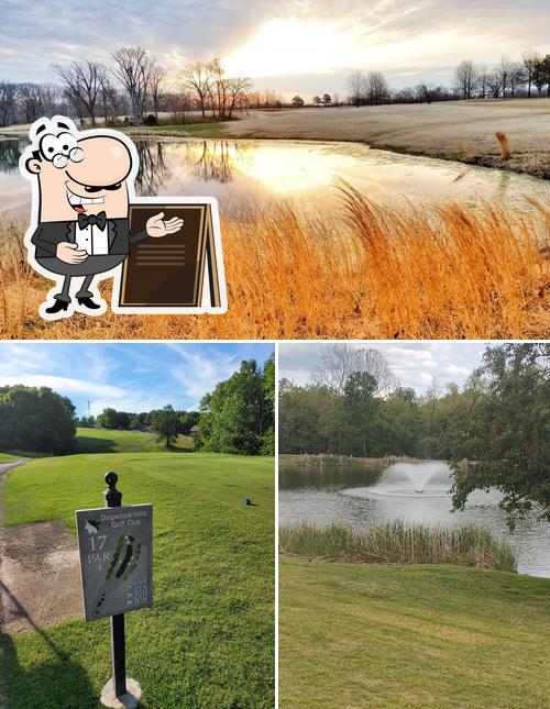 Metfield Golf Complex (Dogwood/Brittany), Bella Vista - Restaurant menu ...