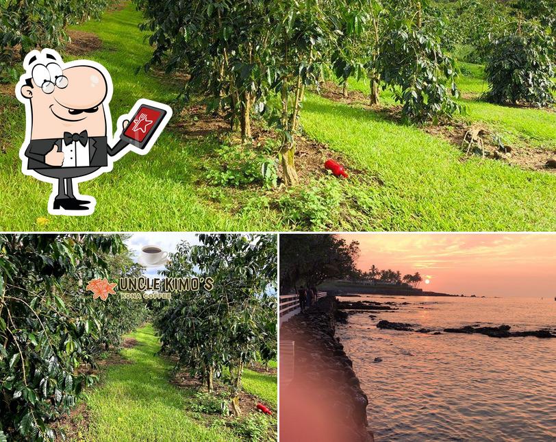 Uncle Kimo's Kona Coffee, Holualoa - Restaurant menu, prices and reviews