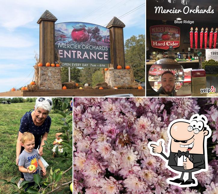 Mercier Orchards, Blue Ridge - Restaurant menu, prices and reviews