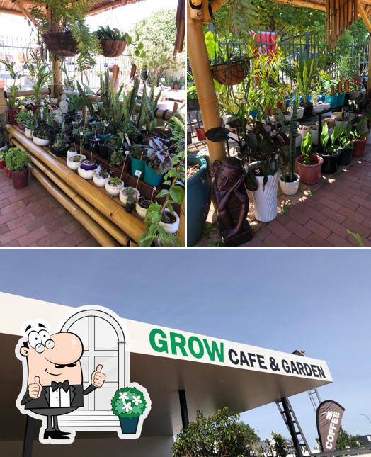GROW CAFE, Inglewood - Restaurant menu, prices and reviews