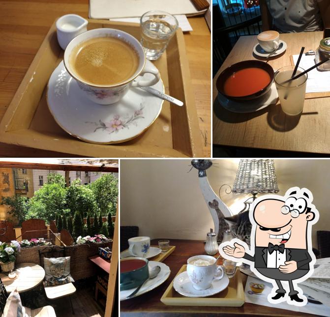 Cat Café, Prague, Anděl - Restaurant menu, prices and reviews
