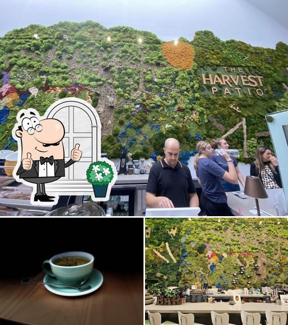 The Harvest Patio, Boca Raton - Restaurant menu, prices and reviews