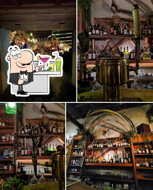 Bar Sovereign in Nashville - Restaurant reviews