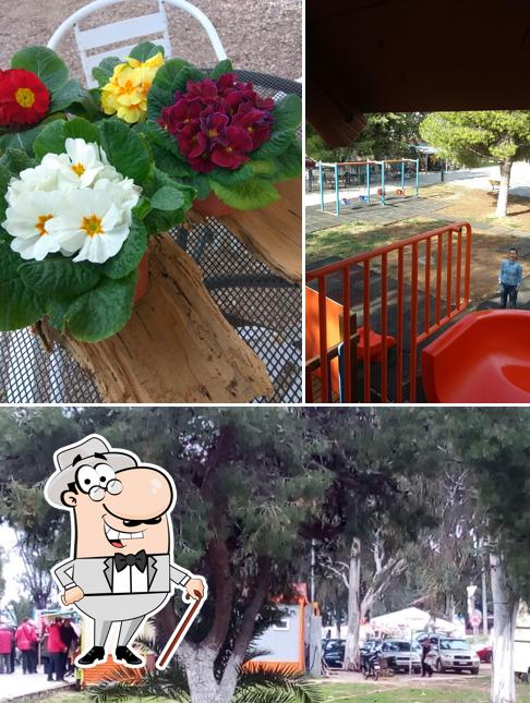 Coffee Park, Nea Kios - Restaurant reviews