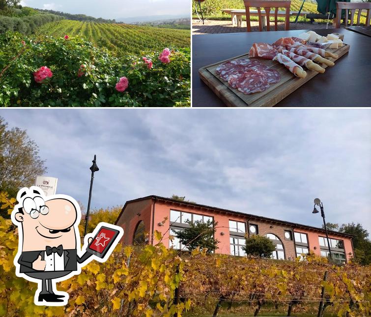 Le Pignole di Boracchi Serena, Brendola - Critiques de restaurant