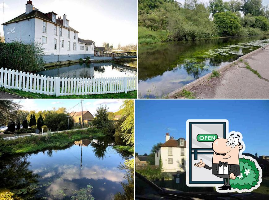 Coy Carp Harefield Harefield Restaurant Menu Prices And Reviews