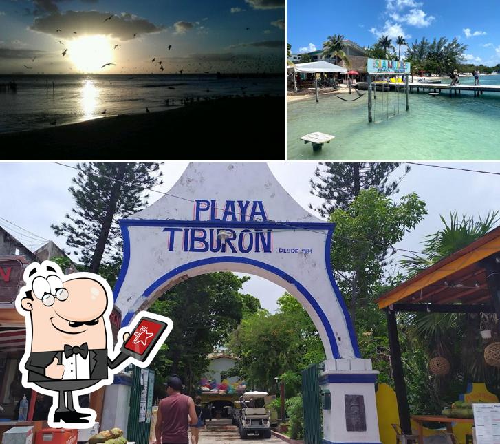 Playa Tiburon, Isla Mujeres - Restaurant menu, prices and reviews