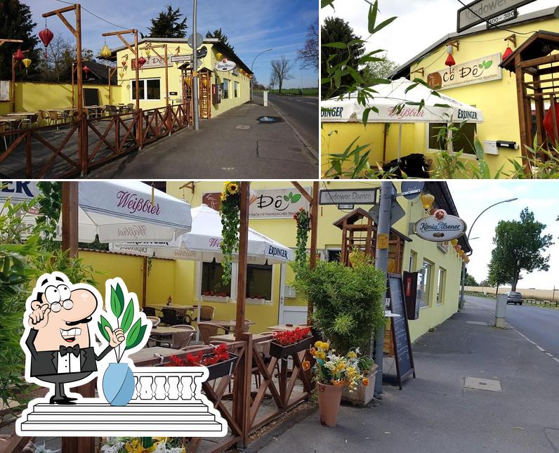 Co Do restaurant, Berlin - Restaurant reviews