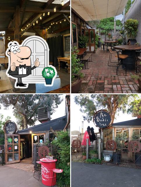 The Bodhi Tree Restaurant, Healesville - Restaurant menu, prices and ...