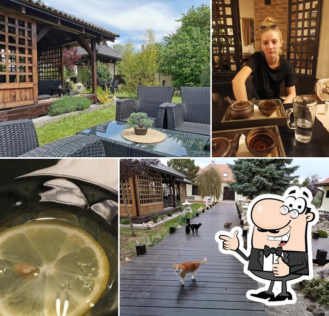 Tibet Park, Nové Zámky - Restaurant reviews