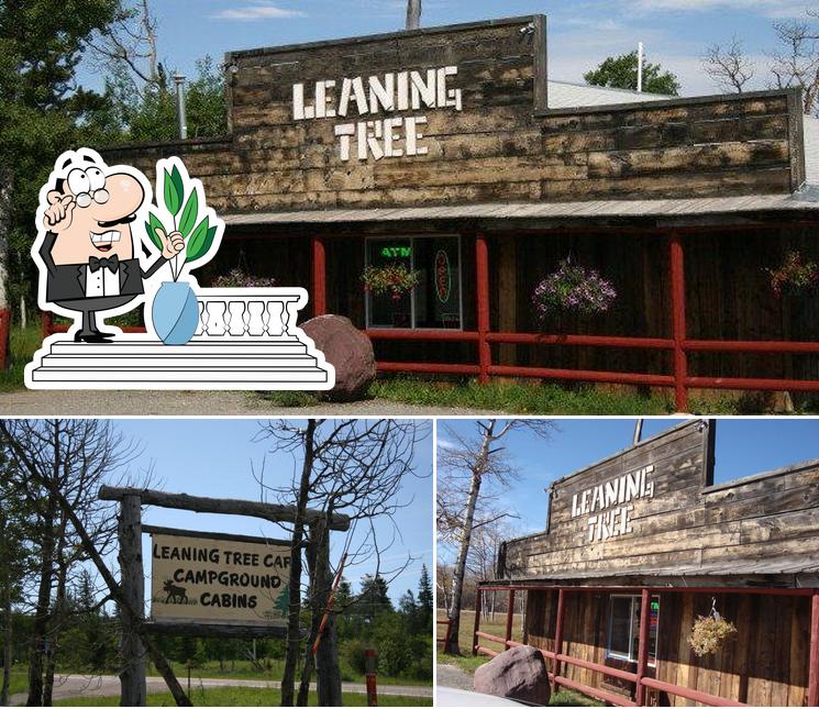 Leaning Tree Cafe And Campground, State Highway 464 Duck Lake Road in ...