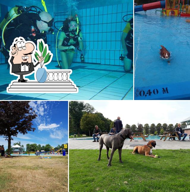 Pool and Outdoor Center The Run, Drunen - Restaurant menu, prices and ...