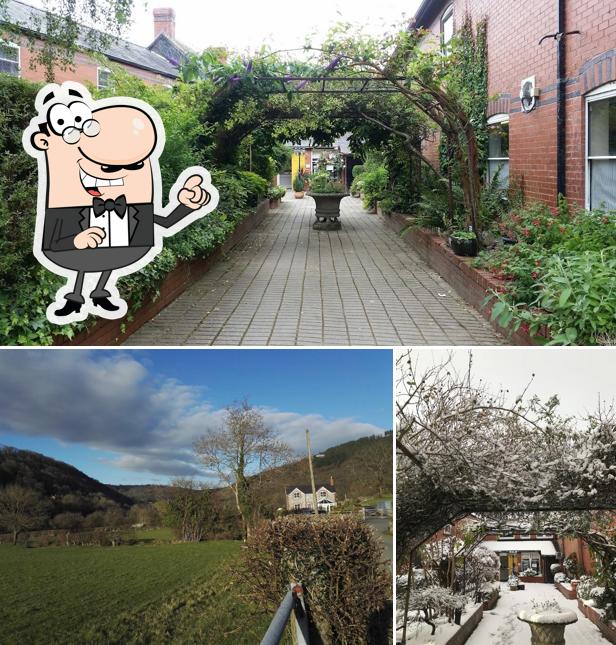 The Mulberry Inn, Llangollen - Restaurant menu, prices and reviews