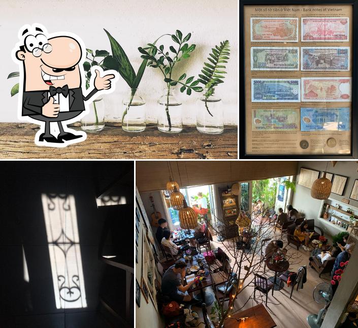 Tree Hugger Cafe, Đồng Hới - Restaurant reviews