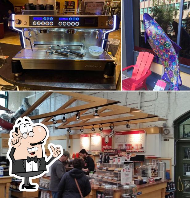 Java Moose, 47 Charlotte St in Saint John - Restaurant reviews