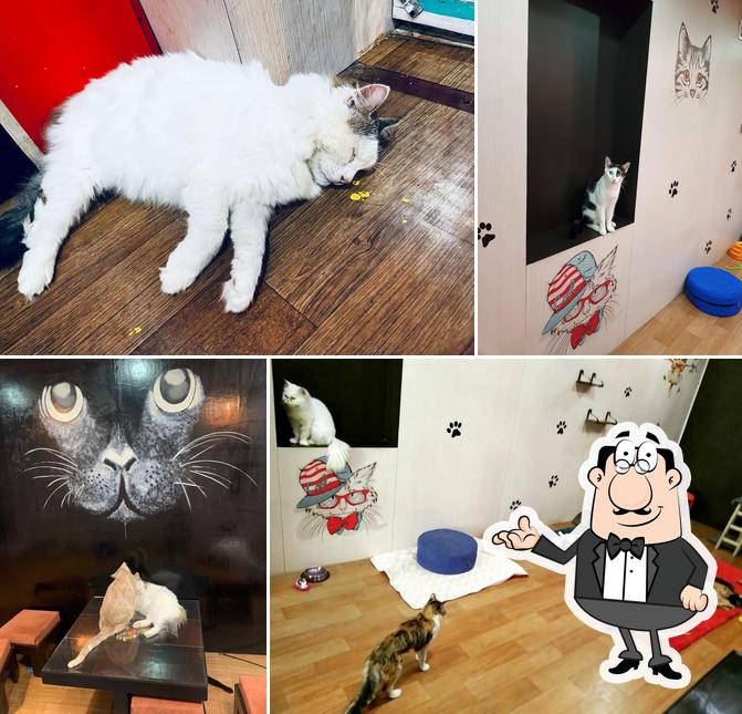 PURRed @Charlie's - The CAT Cafe J P Nagar, Bengaluru - Restaurant menu ...