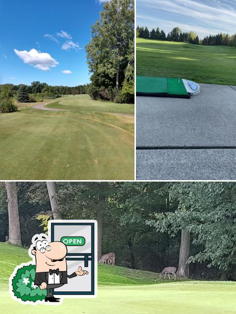 Pine Trace Golf Club in Rochester Hills - Restaurant reviews