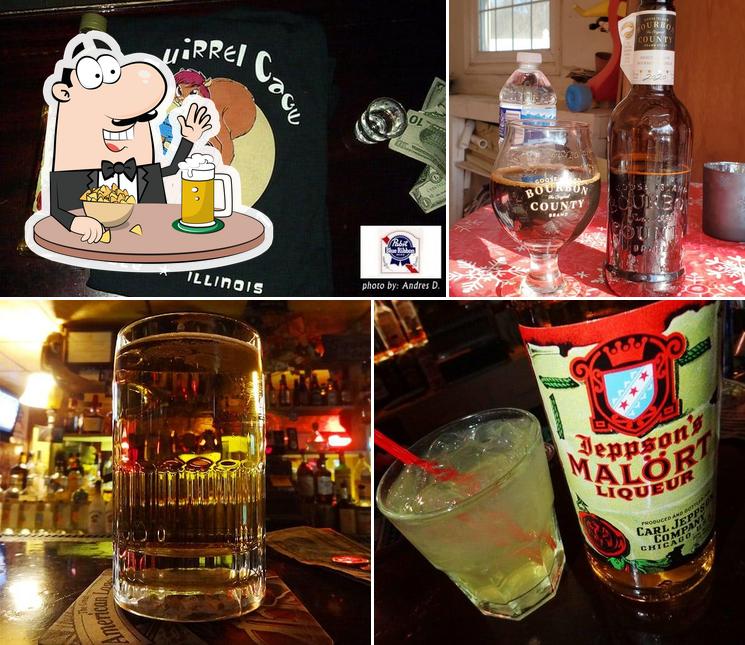 Squirrel Cage Tavern in Lisle - Restaurant reviews