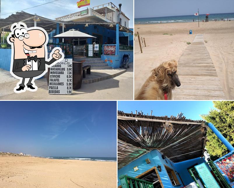 Best spanish restaurants in Oliva, spring 2024 - Restaurant Guru