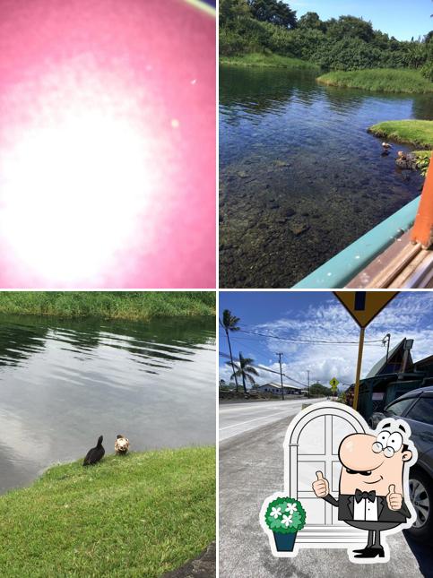 Ponds Hilo, Hilo - Restaurant menu, prices and reviews