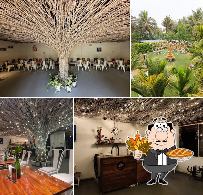 Seed Cafe, Srirangapatna - Restaurant menu, prices and reviews