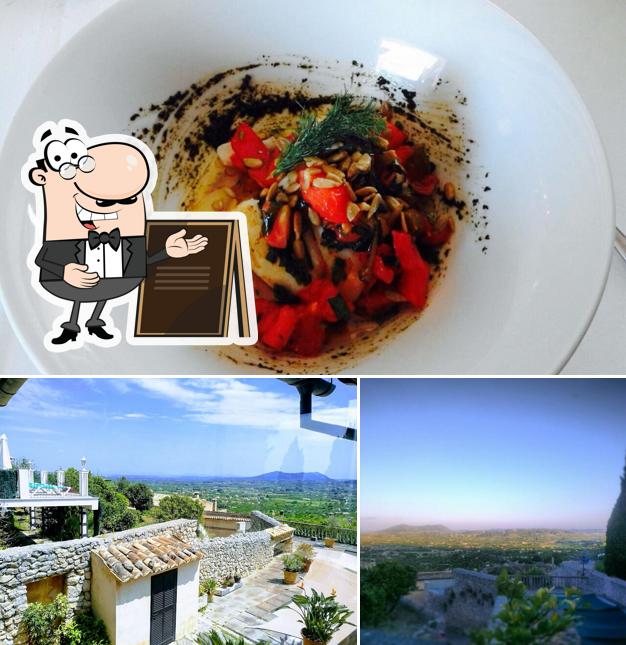 Miceli in Selva - Restaurant reviews