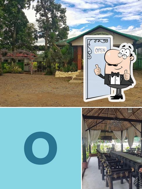 Organic Restaurant, Bustos - Restaurant reviews