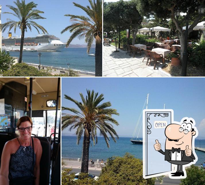 Akteon, Kos - Restaurant reviews
