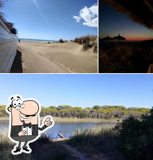 Ristorante La Fiumara Beach, Marina di Grosseto - Restaurant reviews