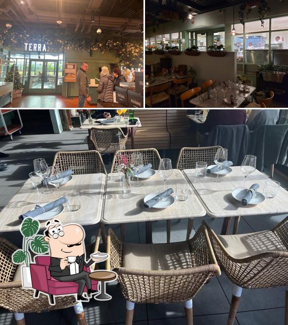 Terra, San Jose - Restaurant menu, prices and reviews